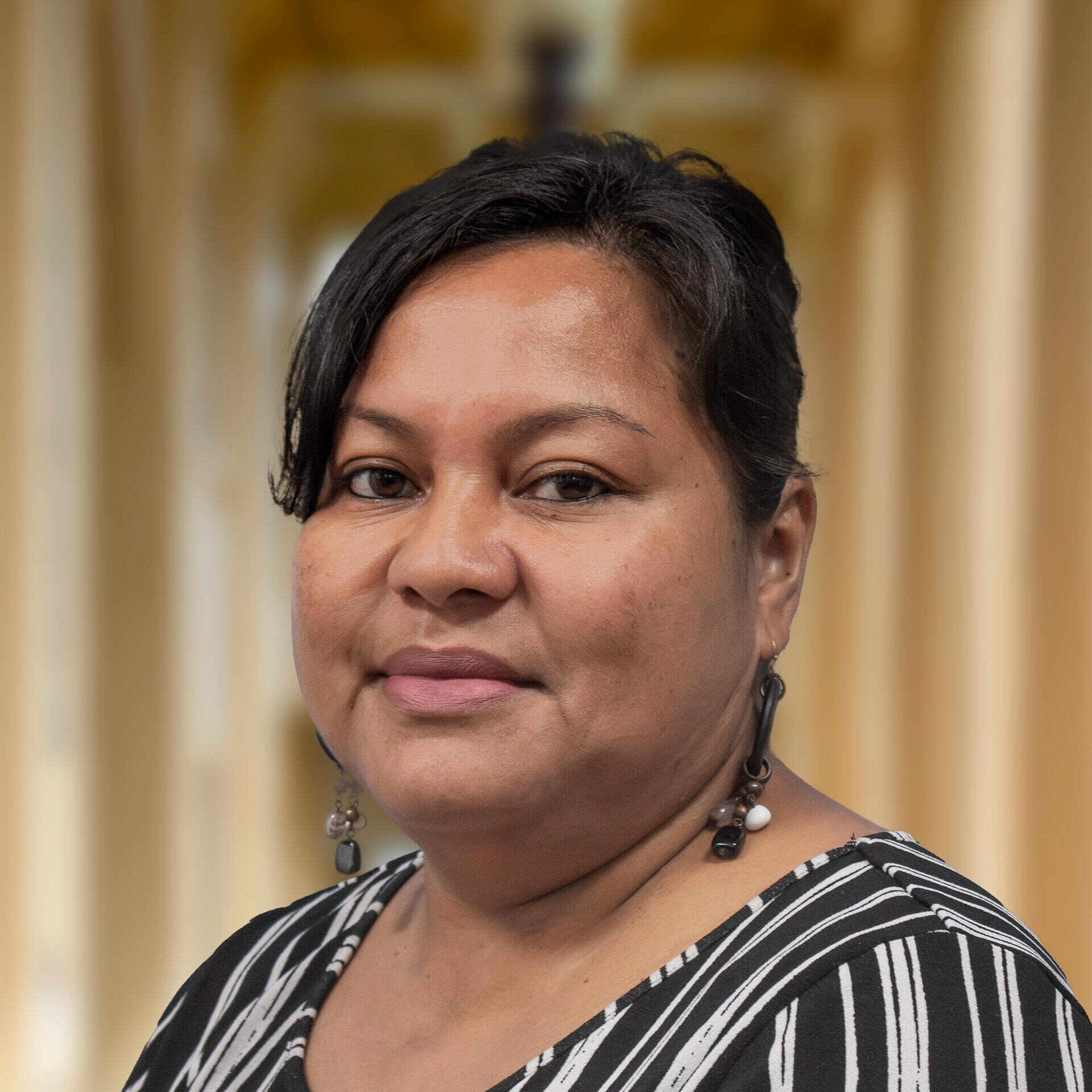 Board of Director - Ministry of HRCTD